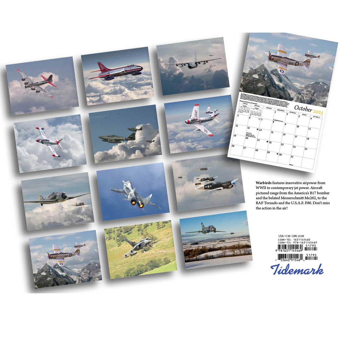 Warbirds 2025 Calendar by Pat Speirs | Historic Aviation Art | Pilot HQ ...